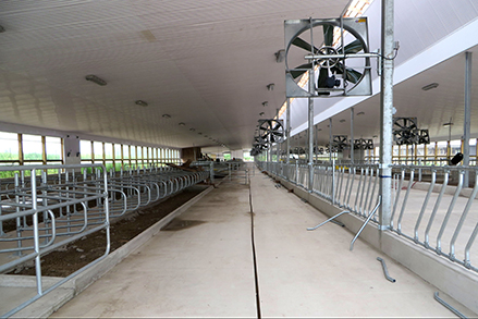 The Complete Package Inside and Out… Product Plus Agricultural – Agway